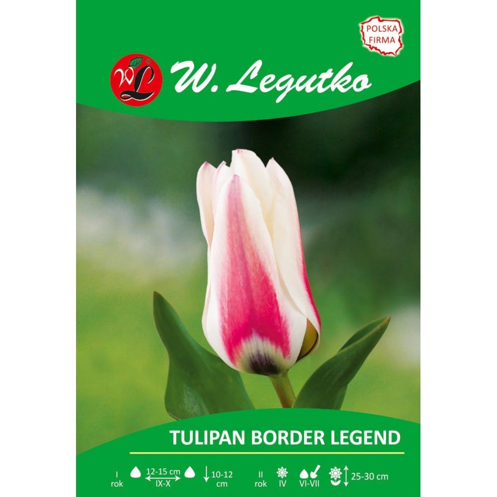 Cebulki Tulipanów - Ozdobne Cebulki Kwiatowe Esklep W.Legutko - Sklep W ...