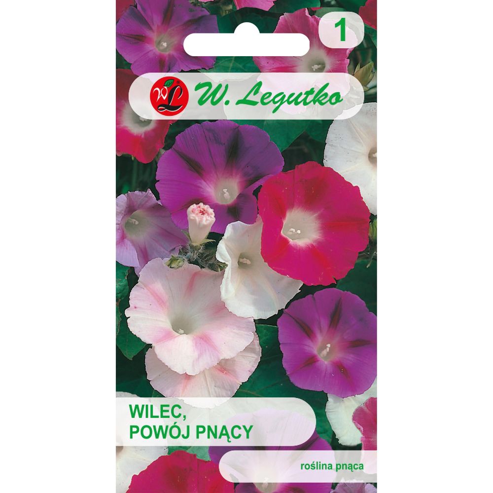 Wilec, Powój pnący - mieszanka - 5g - Nasiona - Sklep W. Legutko