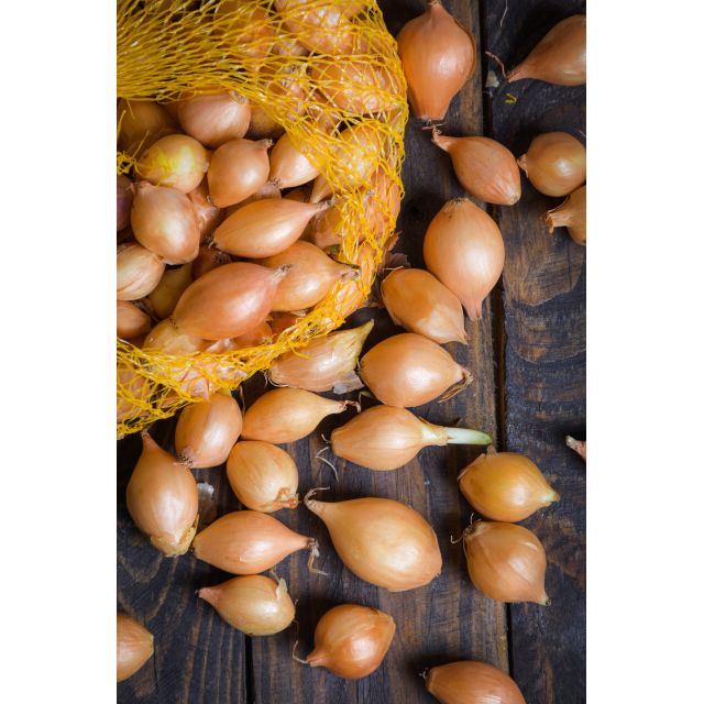 Cebula dymka - Sturon - żółta - 250g - Sklep W. Legutko