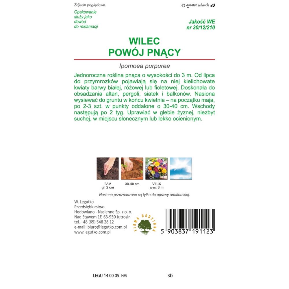 Wilec, Powój pnący - mieszanka - 5g - Nasiona - Sklep W. Legutko